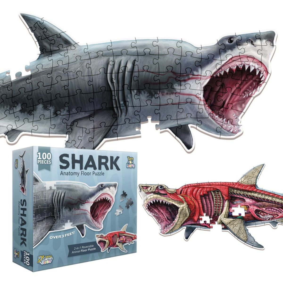 Shark Anatomy Floor Puzzle | Artemis Games